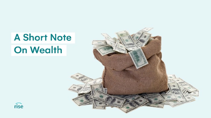 A Short Note on Wealth | Risevest Blog