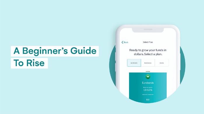 A Beginner’s Guide to Rise | Risevest Blog