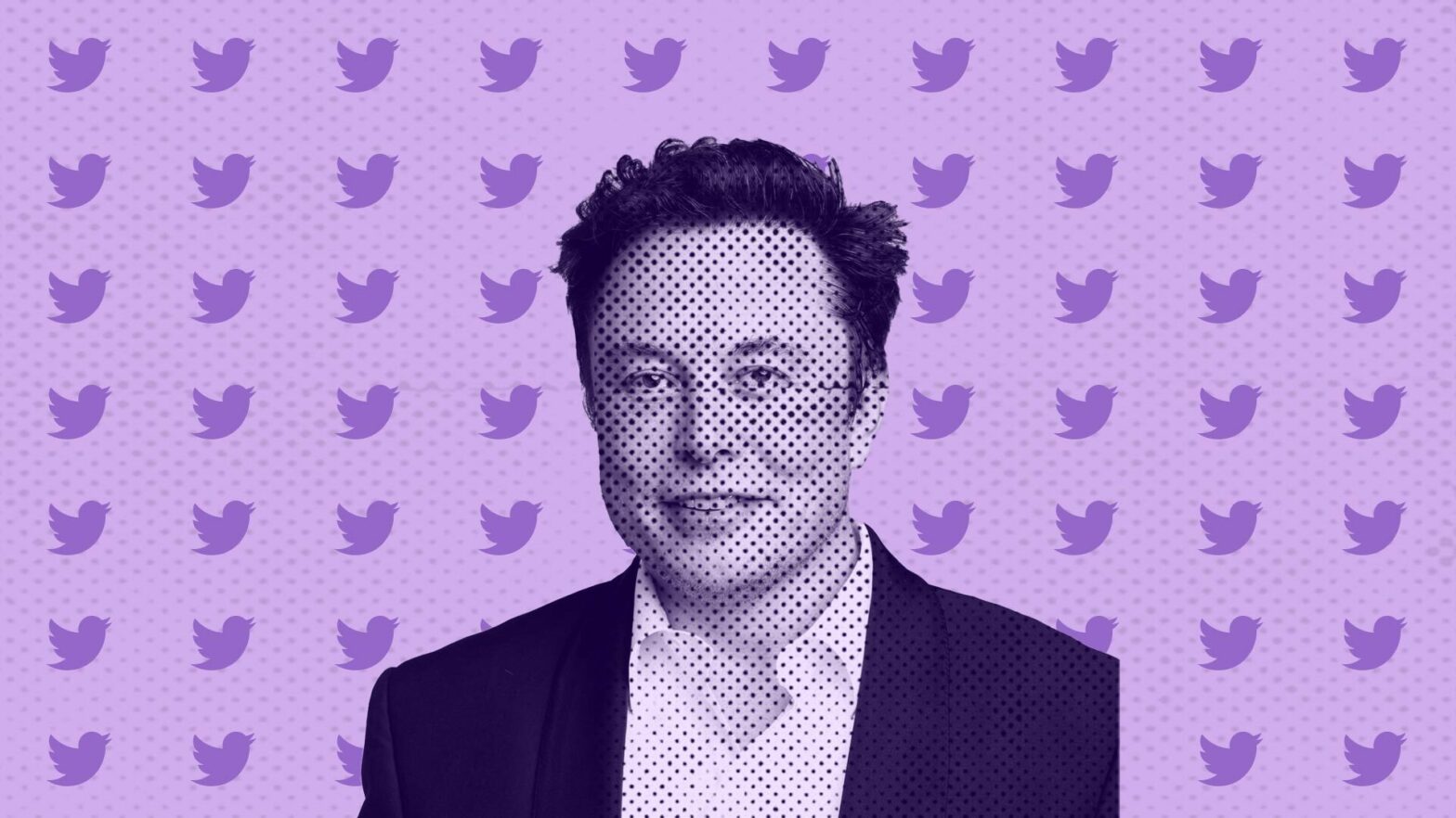 The Bird Is Freed!!!