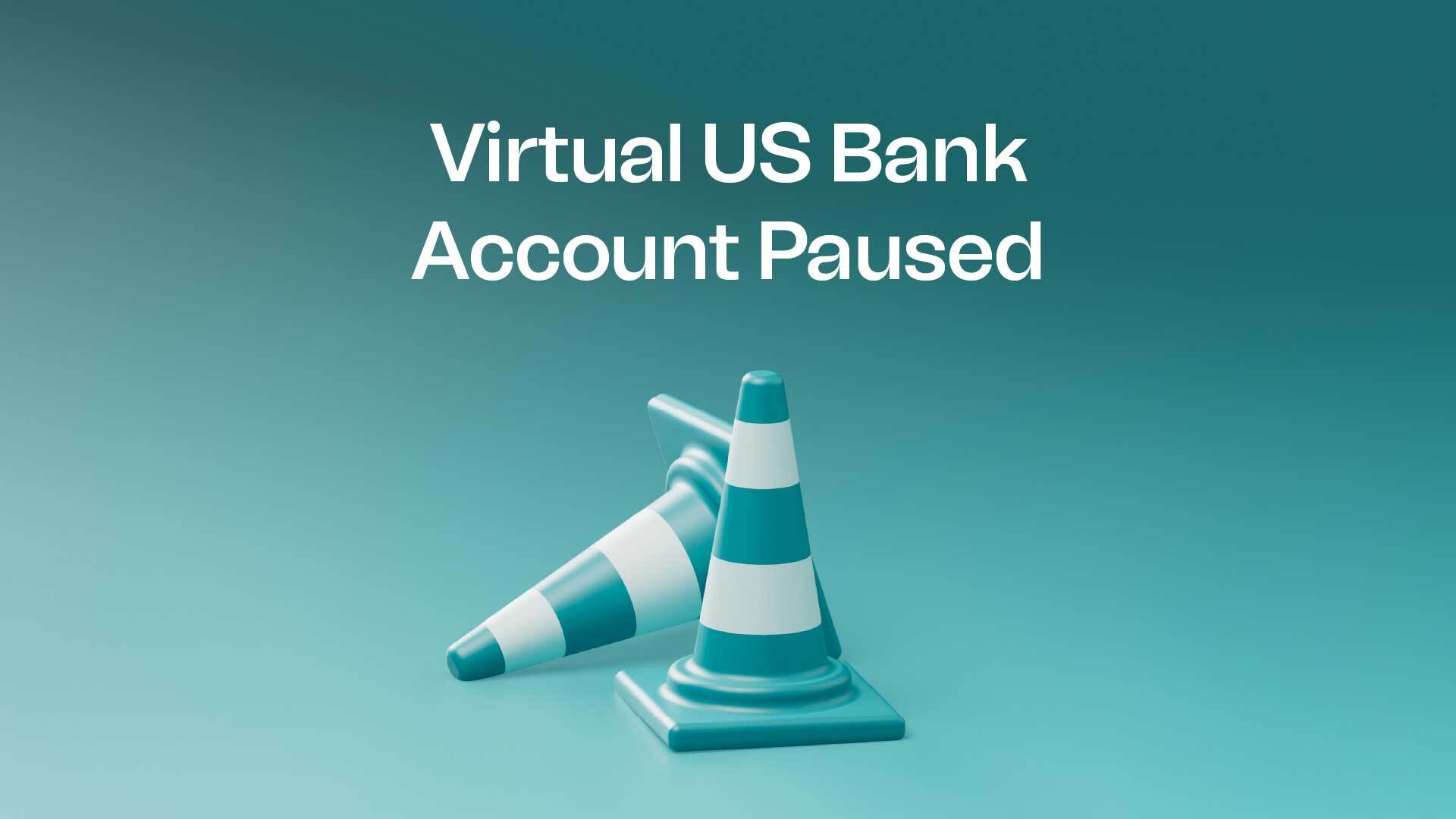 Temporary Pause of the US Virtual Bank Account Feature | Risevest Blog