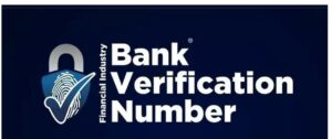 How to Check Your Bank Verification Number (BVN) | Risevest Blog