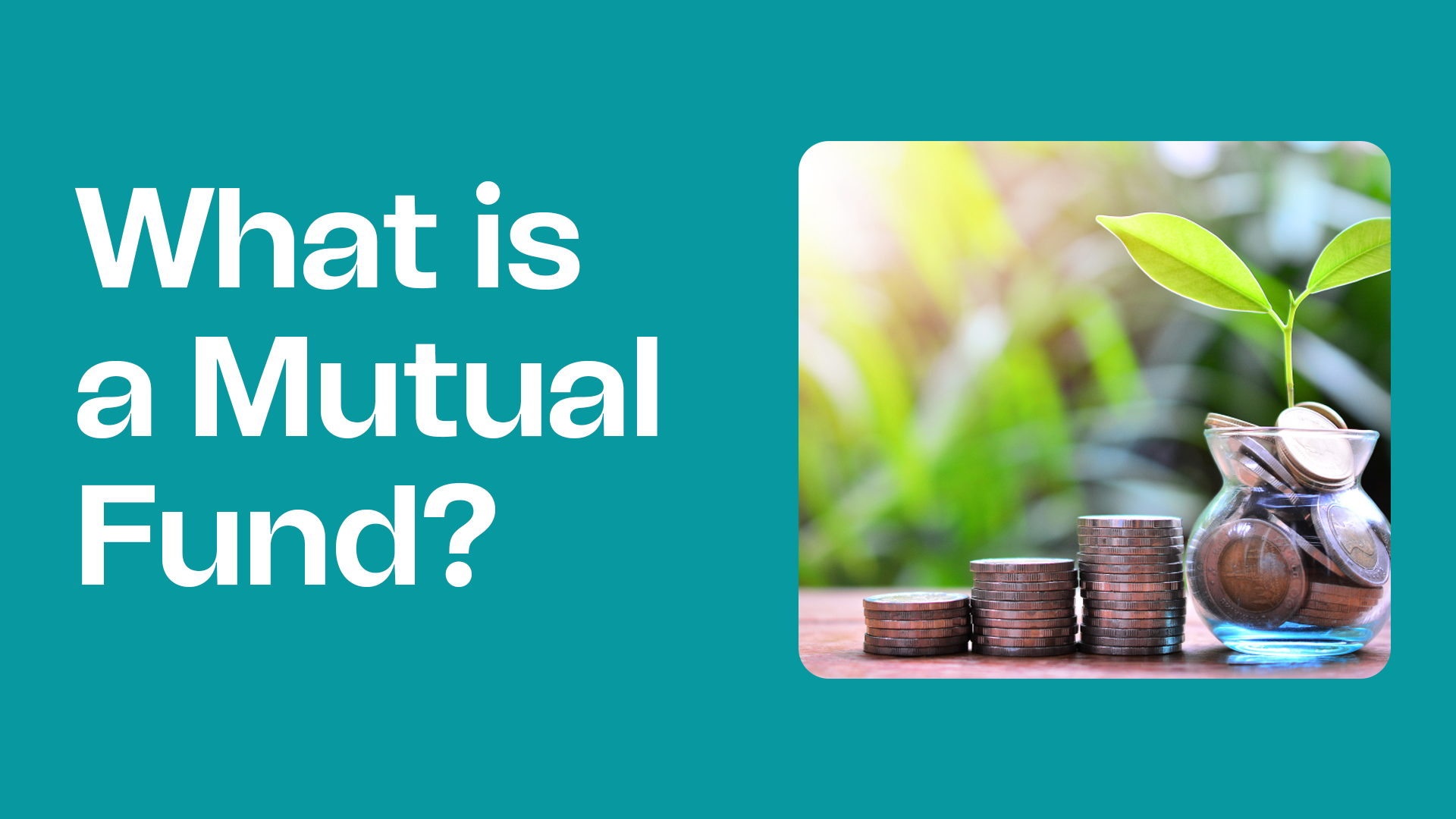 What is a Mutual Fund? | Risevest Blog