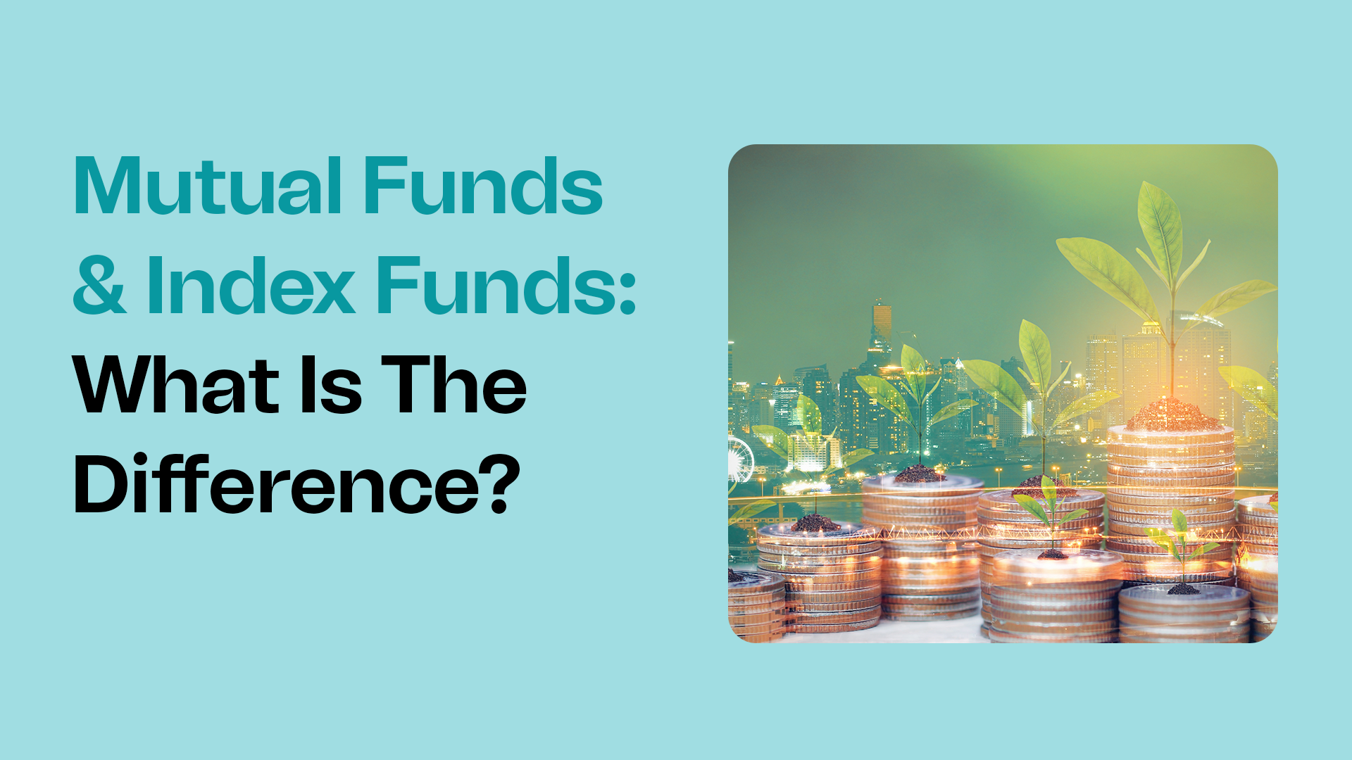 Mutual Funds and Index Funds: What Is The Difference? | Risevest Blog