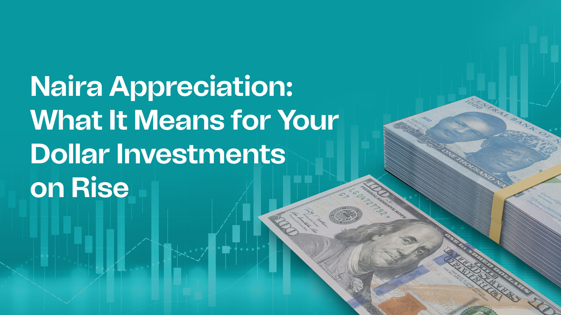 Naira Appreciation: What It Means For Your Dollar Investments on Rise ...